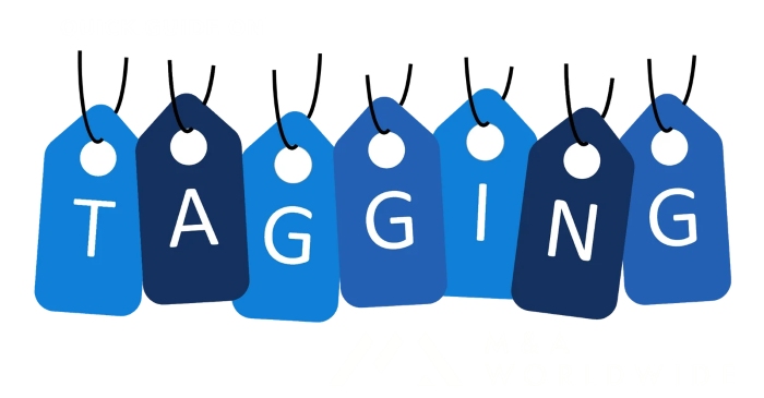 A Quick Guide to Tag People and Companies in Your LinkedIn Posts - M&A ...